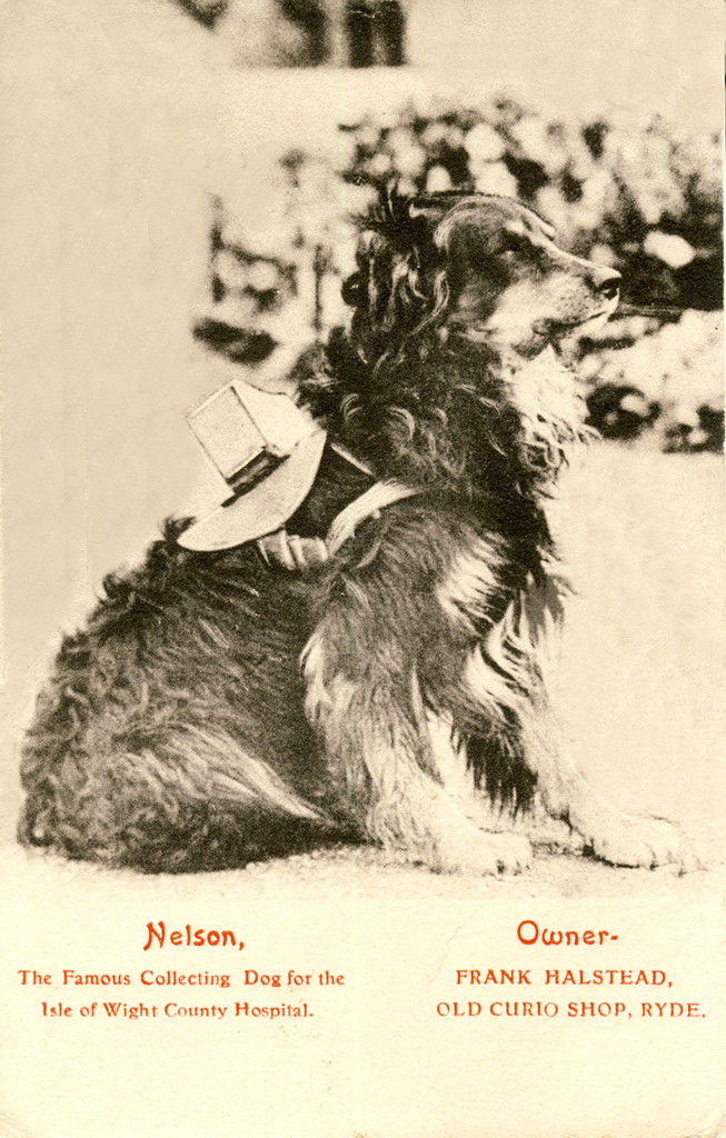 The Towill Collection - Novelty Cards